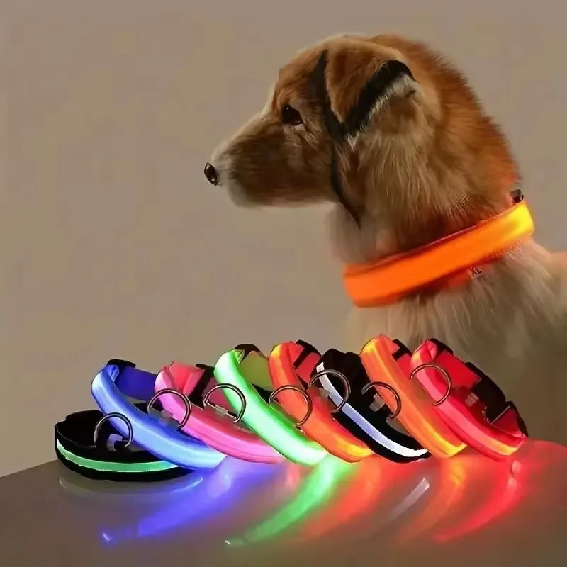 BOOTEELY Nylon LED Night Safety Flashing Glow In The Dark Dog Leash Do ...