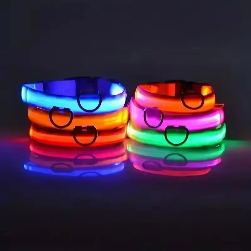 BOOTEELY Nylon LED Night Safety Flashing Glow In The Dark Dog Leash Do ...