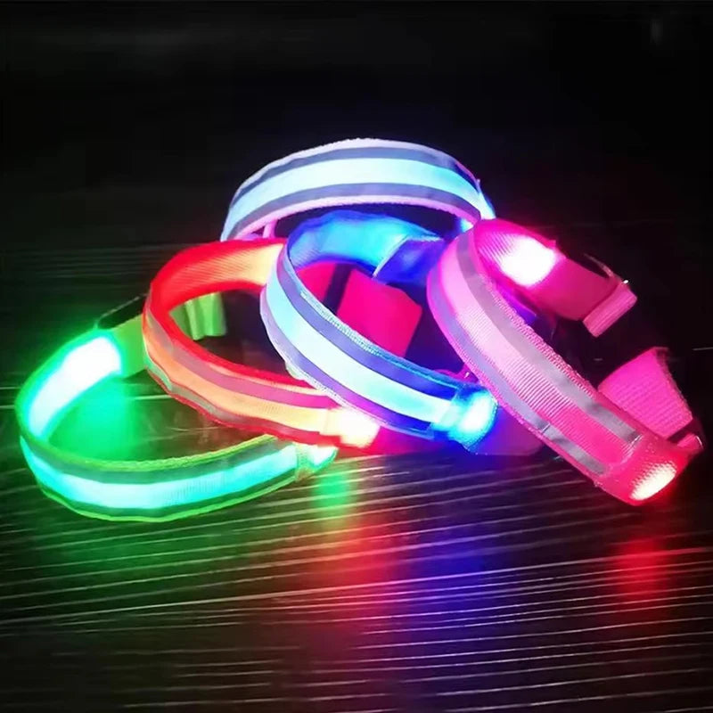 BOOTEELY Nylon LED Night Safety Flashing Glow In The Dark Dog Leash Do ...